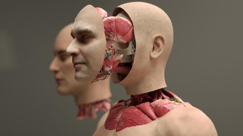 BrainBridge – The World’s First Head Transplant Machine Concept